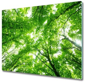 Skleněná krájecí deska Zelený les 60x52 cm