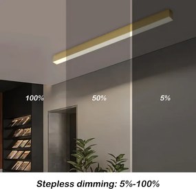 Brilagi - LED Stmív. stropní svítidlo SLEEKLINE LED/40W/230V Wi-Fi Tuya zlatá+DO