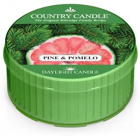 Country Candle Vonná Svíčka Pine & Pomelo, 35 g