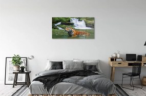 Obraz na skle tygr vodopád 100x50 cm