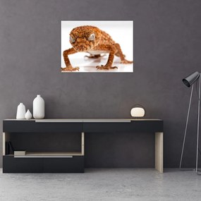 Obraz ještěrky (70x50 cm)