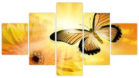 Obraz - Žlutý motýl s květem (125x70 cm)