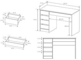 Psací stůl Dagun (bílá)