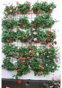 Plastia květináč samozavlažovací Siesta - na zeď 29 cm antracit