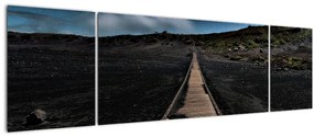 Obraz dřevěné cesty za soumraku (170x50 cm)