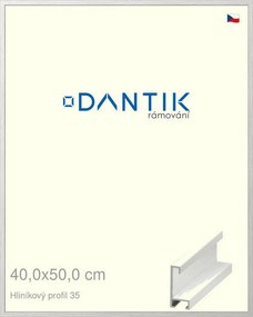 DANTIK rámeček 40x50 | ALU profil 6035 Dýha bílá (Sklo Čiré)
