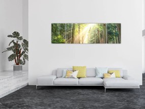Obraz pěšiny v lese (170x50 cm)