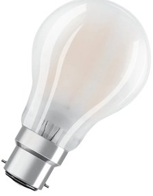 Matná LED žárovka B22d 11 W STAR, teplá bílá