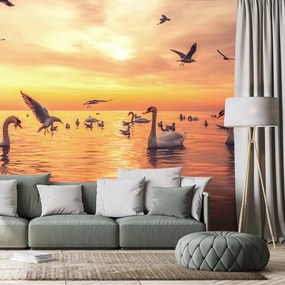 Samolepící tapeta labutě v jezeře - 225x150 cm