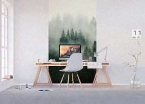 Vliesová fototapeta na zed' Lesní Mlha | 150 x 270 cm | DFT2P2545