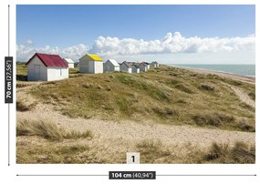 Fototapeta Dunes beach 104x70