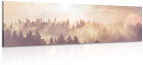 Obraz mlha nad lesem - 120x40 cm