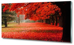 Wallmuralia Foto obraz sklo tvrzené Stromy podzim 100x50