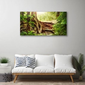Obraz na plátně Strom Kmen Příroda Les 125x50 cm
