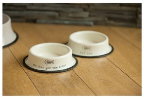 Ocelová miska pro kočku Adore – Premier Housewares