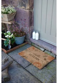 Rohožka z kokosového vlákna 40x60 cm Hello Autumn – Artsy Doormats