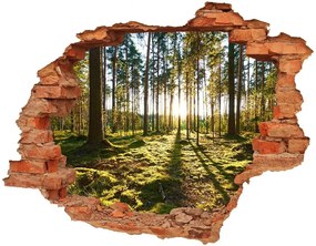 Wallmuralia Nálepka fototapeta 3D na zeď Sosnový les 90x70 cm