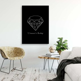 Gario Obraz na plátně Anatomie diamantu Rozměry: 40 x 60 cm