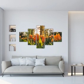 Obraz - oranžové tulipány (125x70 cm)