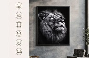 Hrdý vládce - obraz - Majestátní lev v černobílém stylu 14 - 50 x 70 cm - 649 Kč