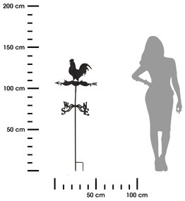Zapichovací ukazatel větru Rooster, 134x45 cm, kov, hnědá