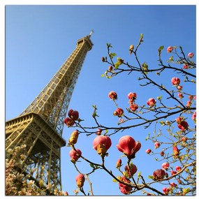 Obraz na plátně - Eiffelova věž v jarním období - čtverec 334A (50x50 cm)