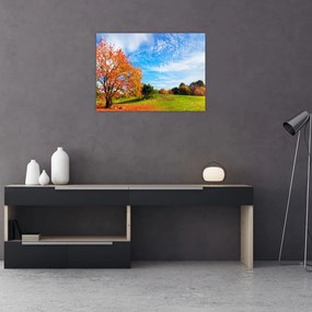 Skleněný obraz - Podzimní krajina (70x50 cm)