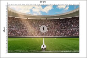 Fototapeta Fotbalový Stadion Vliesová tapeta 360x240