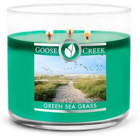 Goose Creek Candle svíčka Green Sea Grass, 411 g