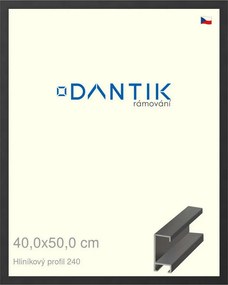 DANTIK rámeček 40x50 | ALU profil 6240 Černá matná (Plexi Čiré)