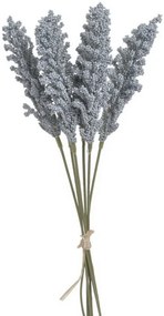 amaranthus svazek - šedomodrá