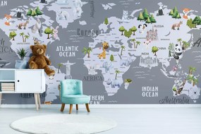 Malvis ® Tapeta Mapa se zvířaty dětská Vel. (šířka x výška): 144 x 105 cm
