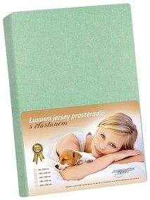 Bellatex Prostěradlo jersey s elastanem 140x200 cm sv.zelená