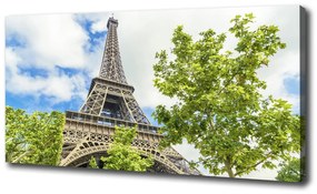 Wallmuralia Foto obraz tištěný na plátně Eiffelova věž Paříž 100x50