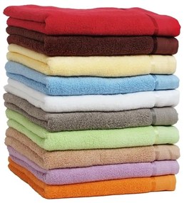 Kvalitní froté ručníky a osušky mnoha barev  1x 50/100 - světle modrá