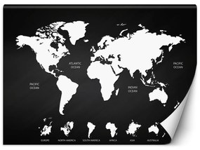 Fototapeta, Černobílá mapa světa - 350x245 cm