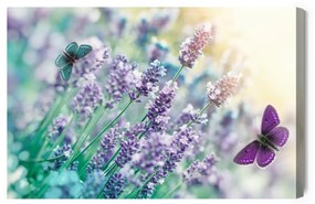 Obraz Levandule A Motýli Nedostatek Nedostatek Přírodní plátno 100x70