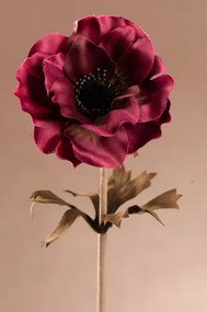 Paramit DRY SINGLE ANEMONE Aranžovací květina červená 35 cm