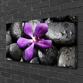 Obraz na plátně Květ Kameny Umění 140x70 cm