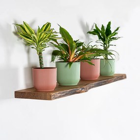 KULHÁNEK Police s přírodní hranou X Délka: 70 cm, Šířka: 23 cm