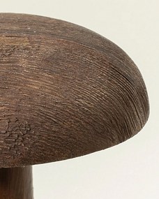 Houba Darkcap 12x18 cm