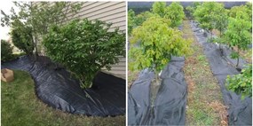 Bestent Agrotextilie 0,8x100m 90 g/m2