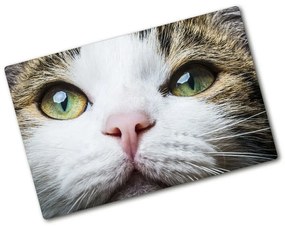Wallmuralia Kuchyňská deska skleněná Zelené kočičí oči 80x52 cm