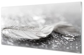 akrylový obraz Kapky peří makro 100x50 cm