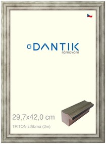 DANTIK rámeček 29,7x42 | TRITON stříbrná (Plexi Čiré)