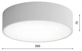 Brilagi - Koupelnové stropní svítidlo CLARE 2xE27/24W/230V pr. 30 cm IP54 šedá