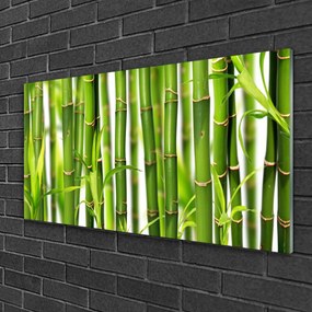 Obraz na skle Bambusové Výhonky Listy Bambus 125x50 cm