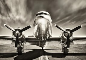 Plakát, Obraz - Aeroplane - Monochromatic