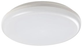Rabalux 7979 - LED Venkovní stropní svítidlo ERIC LED/24W/230V IP64