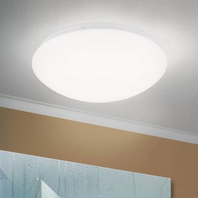 LED stropní svítidlo Nedo zakřivené, Ø 28,5 cm